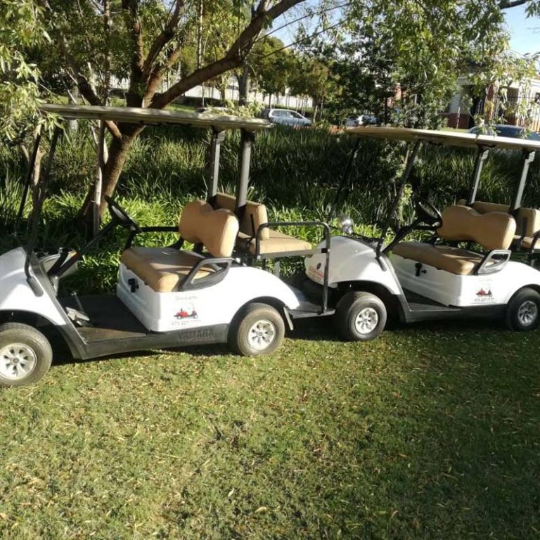 Glo Carts Rental - We Have All Your Golf Cart Needs - Golf Cart Rental